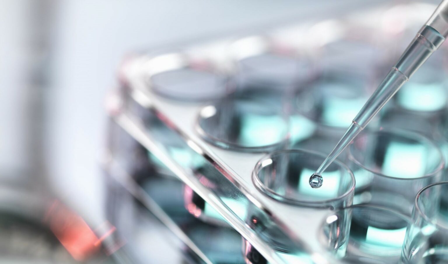 Biocompatibility Testing: All You Need to Know | Test Labs UK