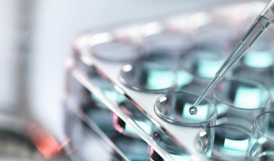 Biocompatibility Testing: All You Need to Know | Test Labs UK