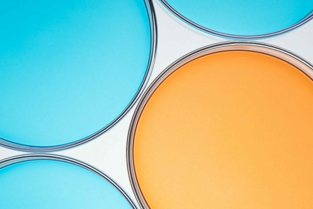 Total viable count: Everything You Need to Know | Test Labs UK