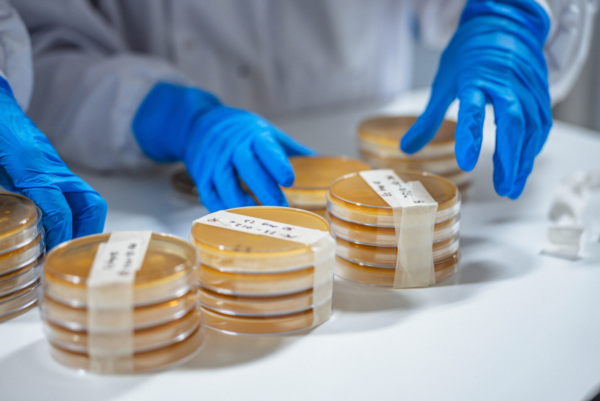 Bioburden Testing: Everything You Need to Know | Test Labs